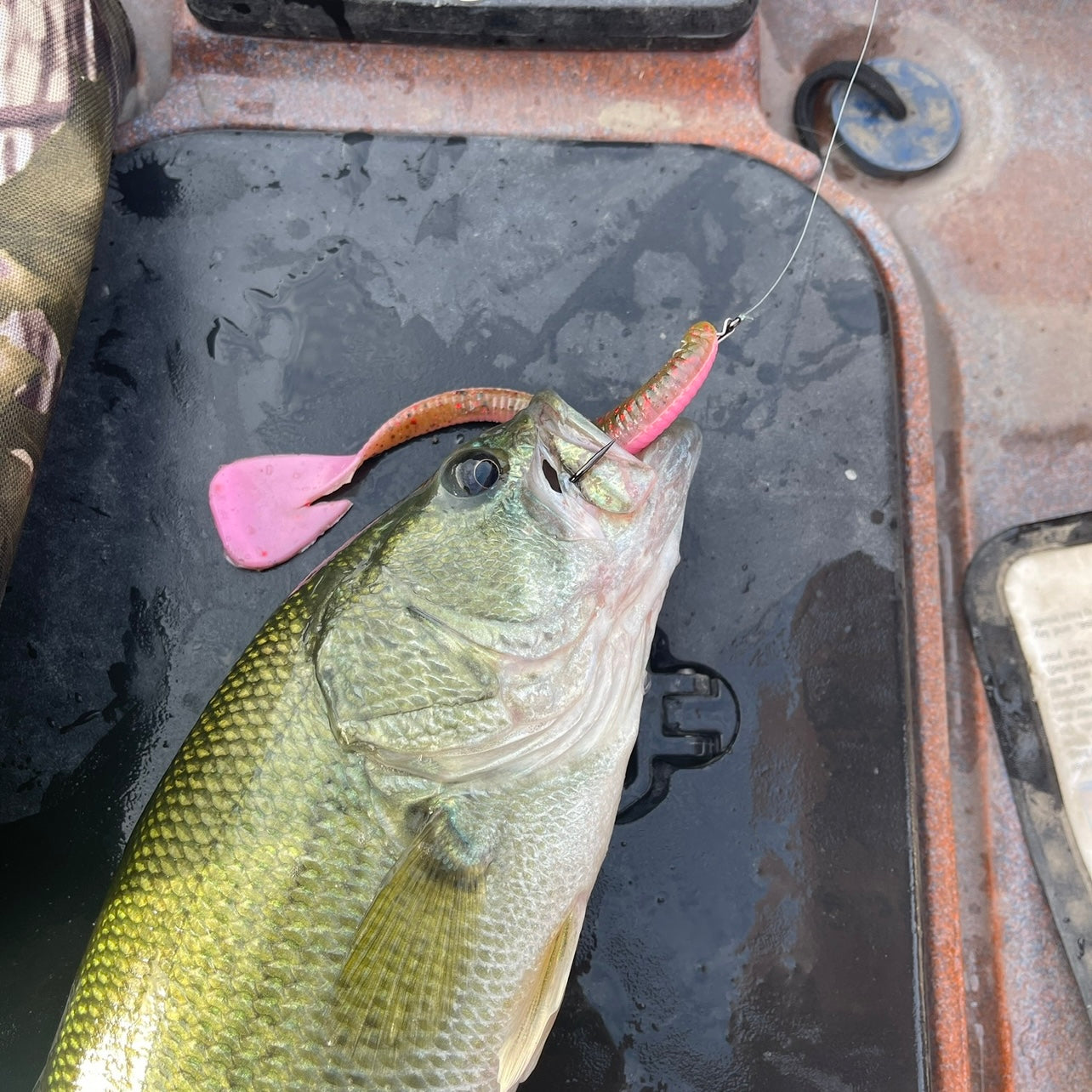 PNW Bass Candy Ambassadors